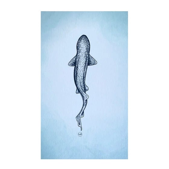 Leopard Shark Limited Edition Print A4 - NOELLE CREATES. Marine, Beach ...