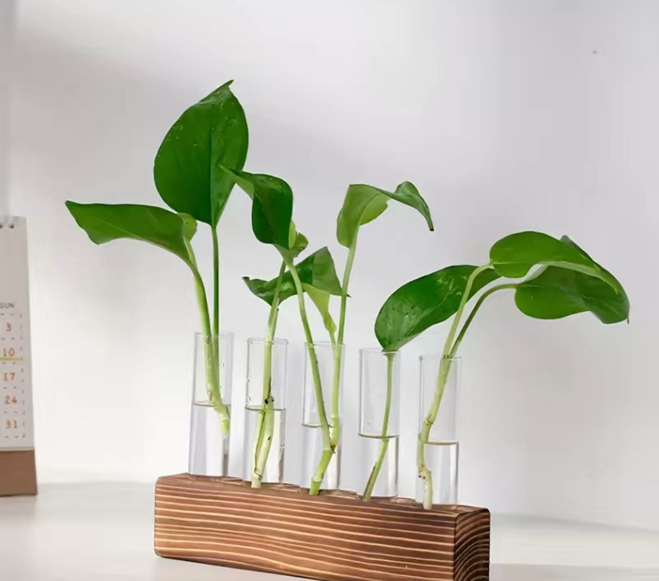 Hydroponic 2-Tube Station | The Propagation Station